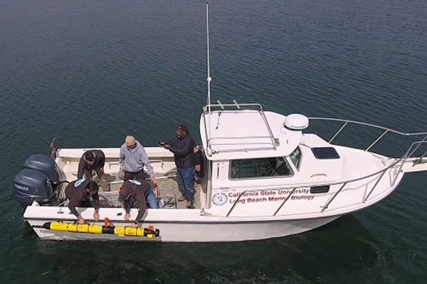 Fine-Scale Shark Habitat Mapping with an AUV